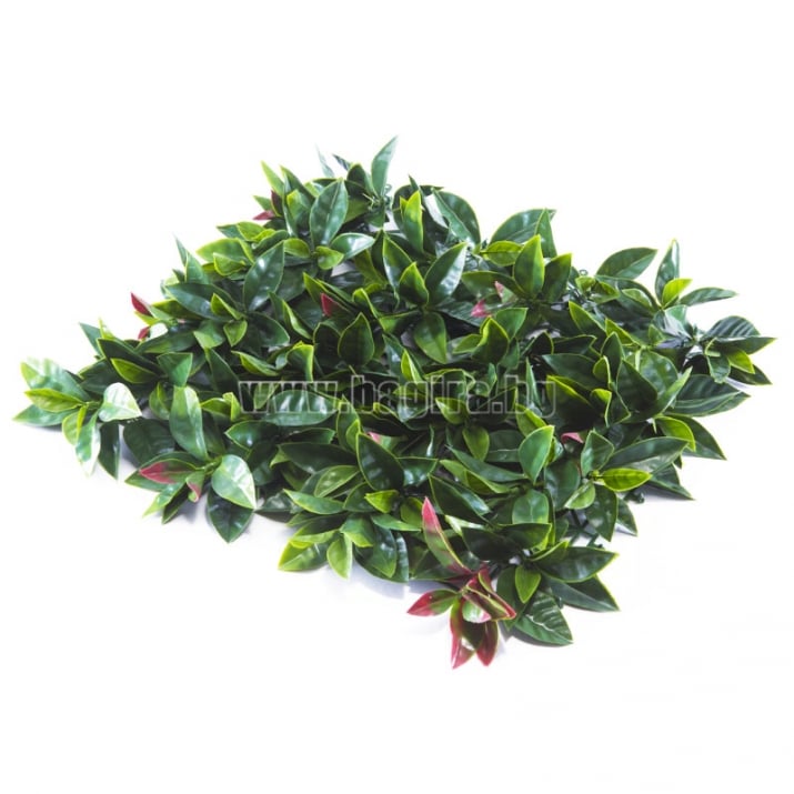 Пано изкуствена зеленина 50 x 50 Green Wall Inter Ceramic | Bagira